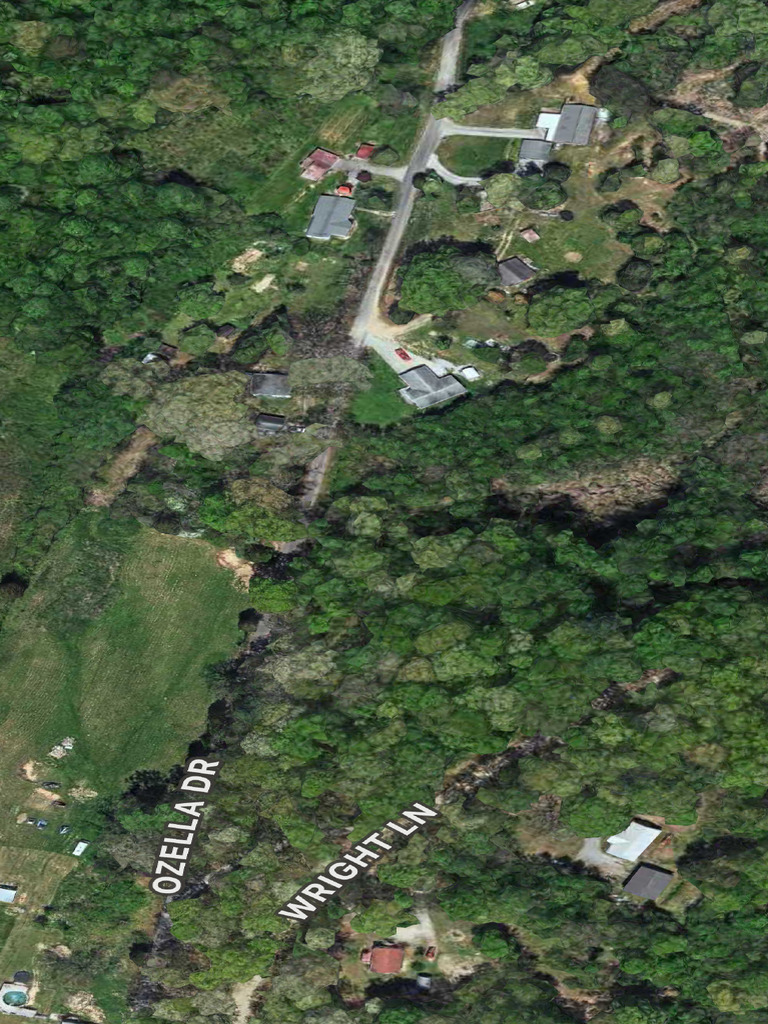 Order My Steps | PDF