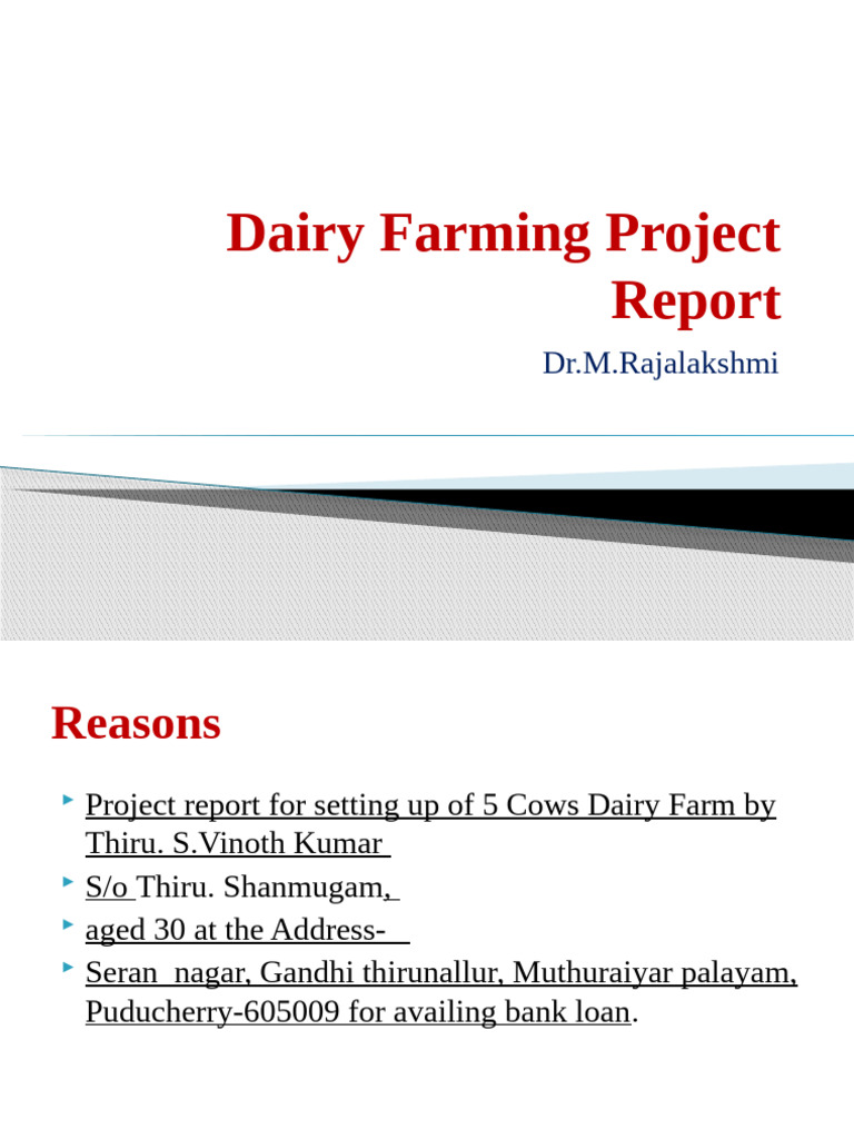Dairy Farming - Project Report III Yr Pra | PDF | Dairy Farming | Dairy