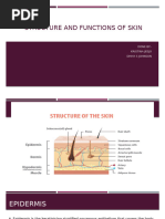 3-D Skin Model Project Guide | PDF | Skin | Anatomy