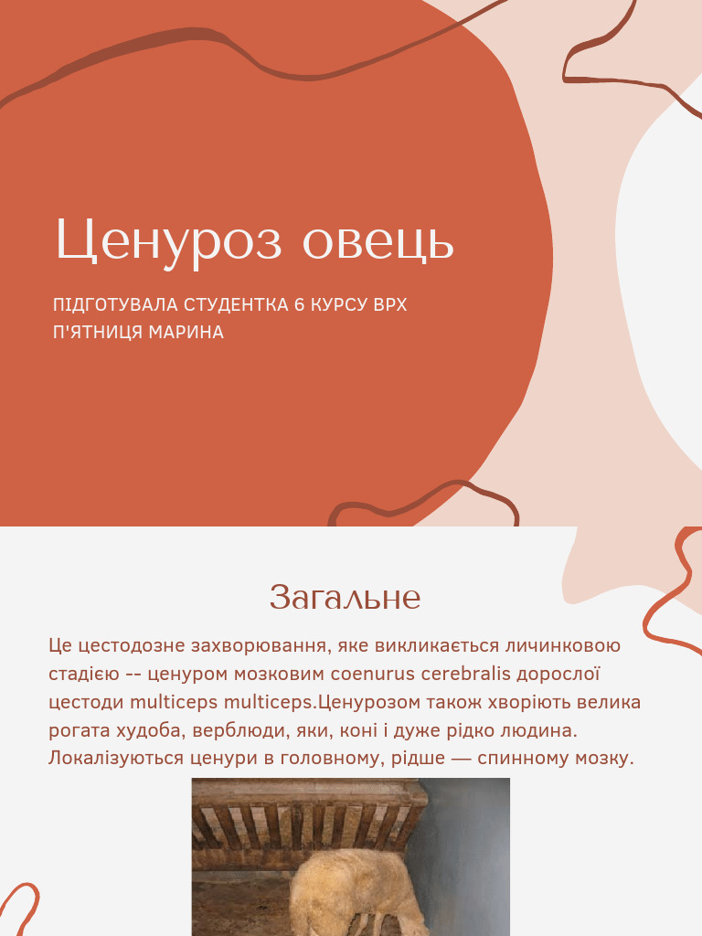 Ценуроз_20250506_180928_0000 | PDF