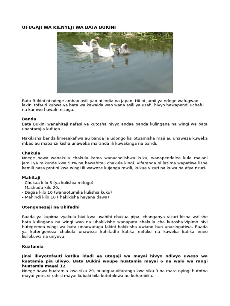 bATA BUKINI | PDF