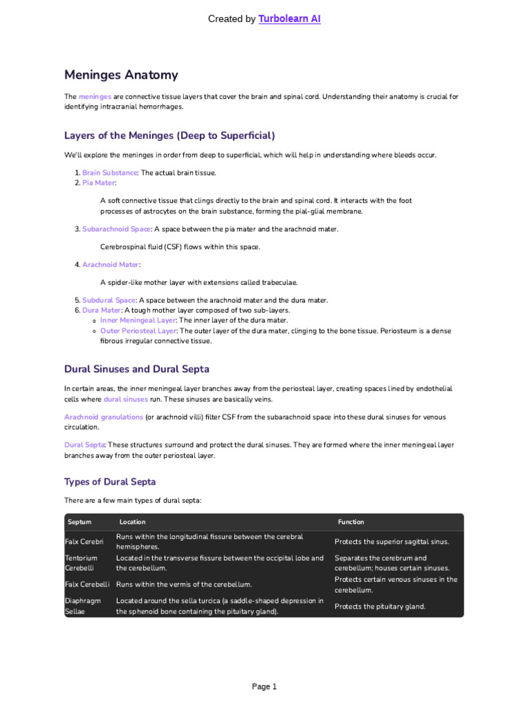 Meninges Anatomy: Layers of The Meninges (Deep To Superficial) | PDF ...
