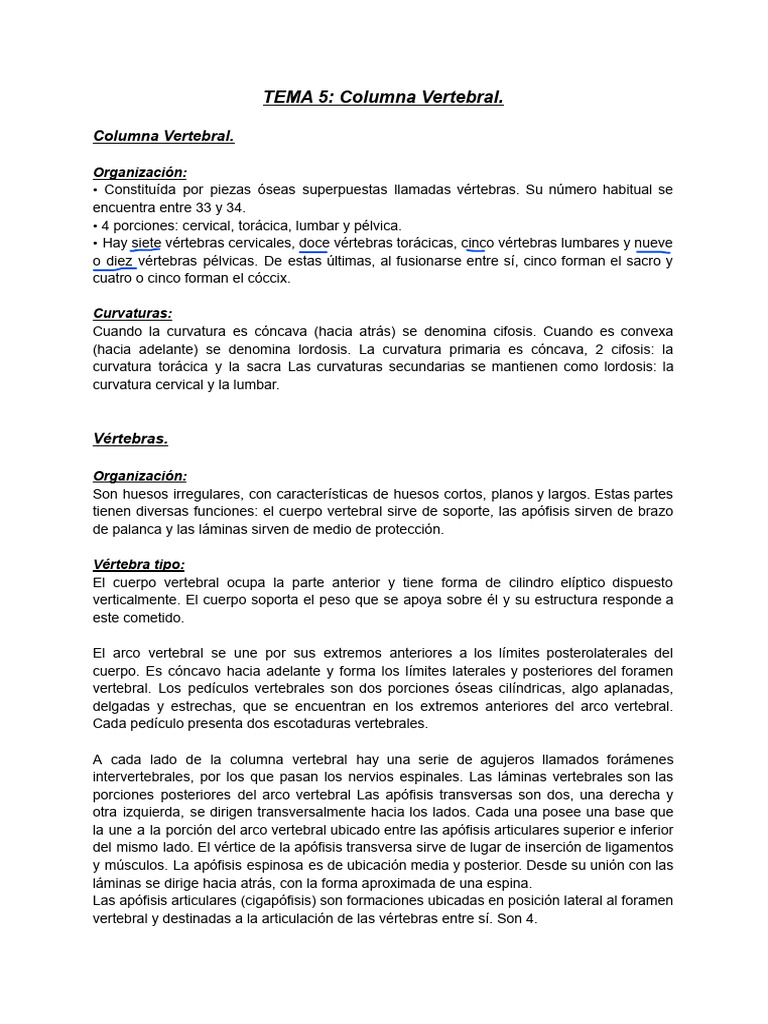 Tema 5. Anatomía Humana. Columna Vertebral. | PDF | Vértebra | La ...