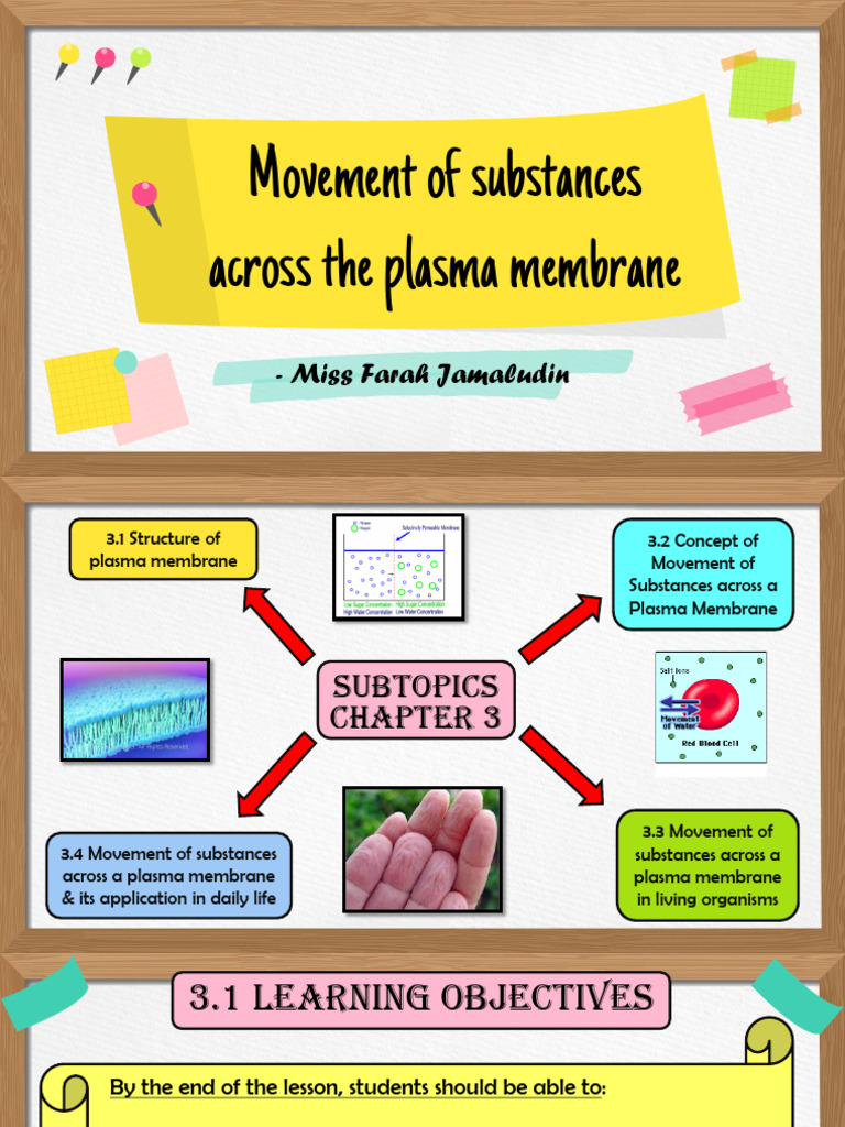 Movement Substances Plasma Membrane | PDF | Cell Membrane | Osmosis