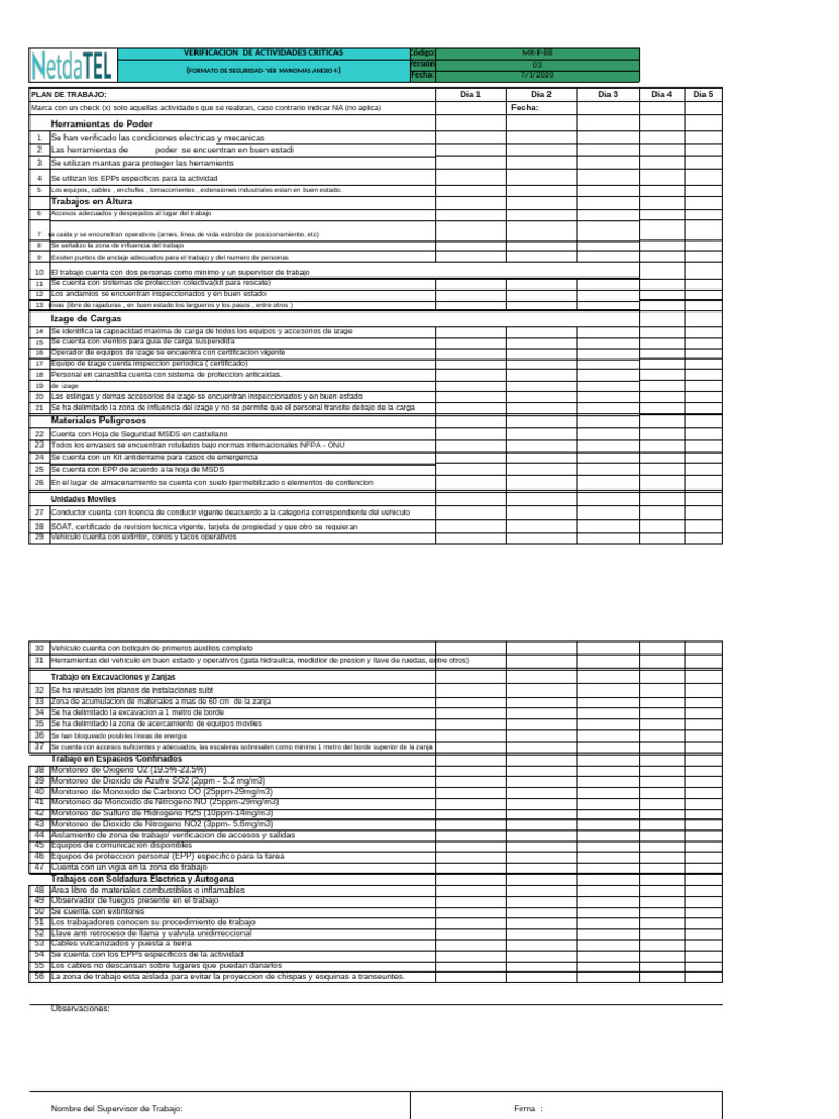Formato de Verificacion de Actividades Criticas - Netdatel. | PDF