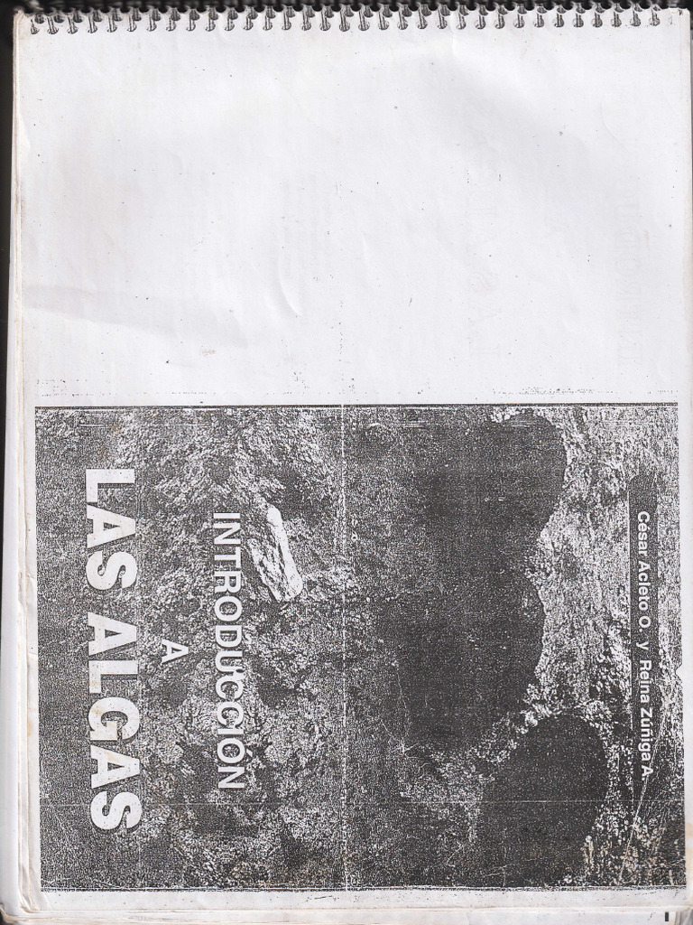 Introducción A Las Algas - Libro | PDF