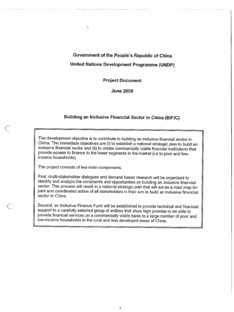 Project Document - Building An Inclusive Financial Sector in China | PDF