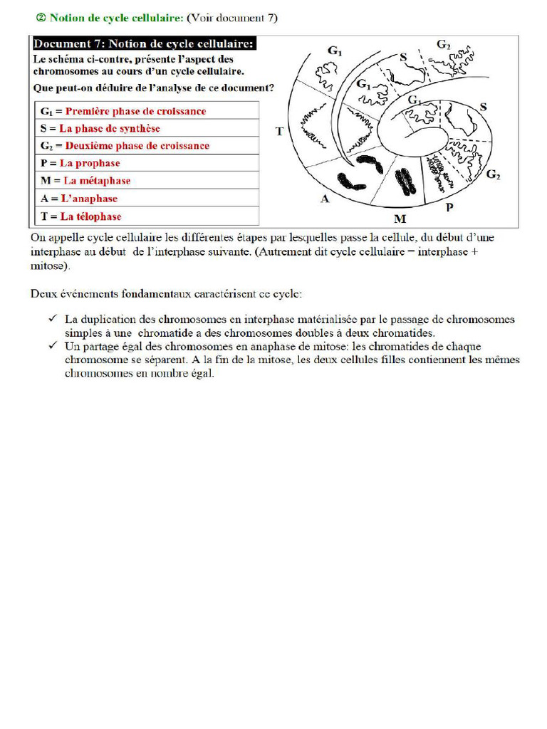 Séquence3 Le Cycle Cellulaire Pdf
