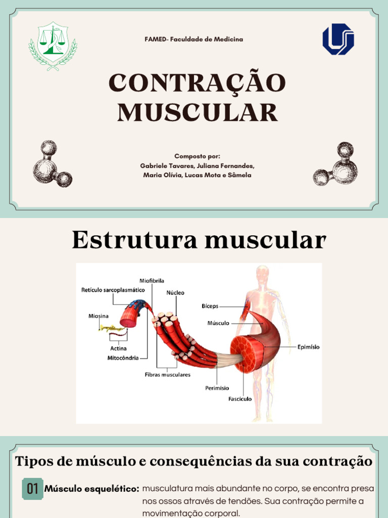 Contração muscular | PDF | Biologia Celular | Histologia
