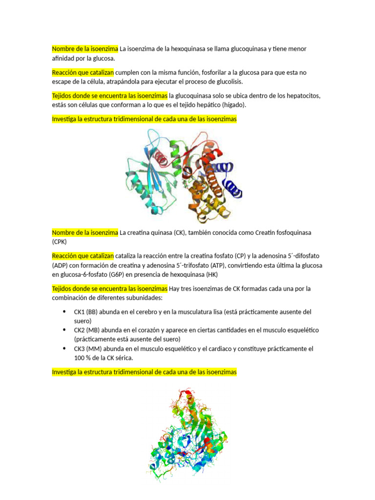 Isoenzimas CK y su localización | PDF