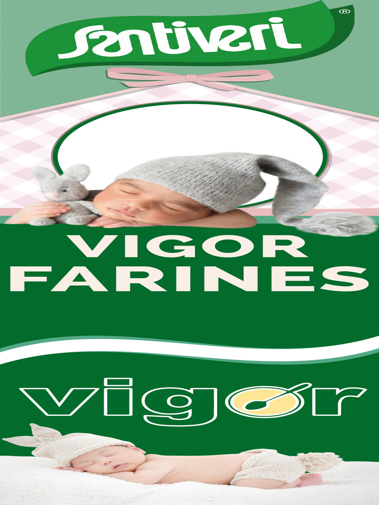 Vigor Panneau | PDF