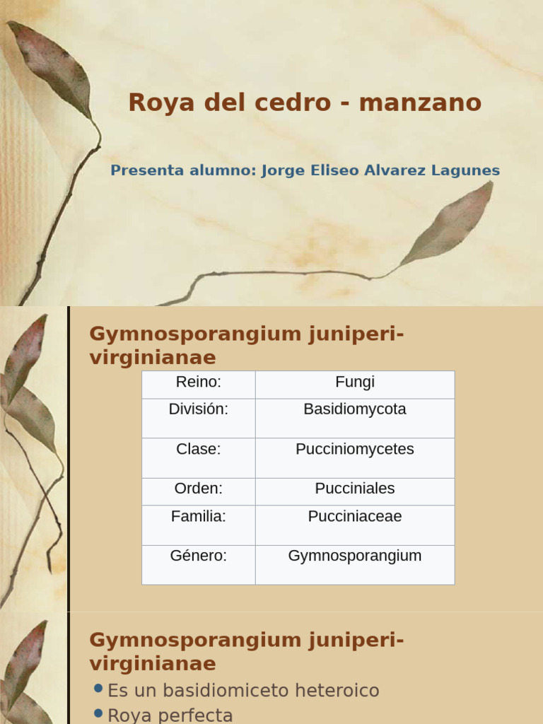 Roya Del Cedro DEFINITIVO | PDF | Organismos