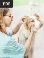Canine Ear Cytology Examination Guide | PDF | Staining | Ear