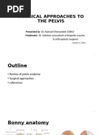 Tokyo Guidelines 2018: Acute Biliary Management | PDF | Gallbladder ...