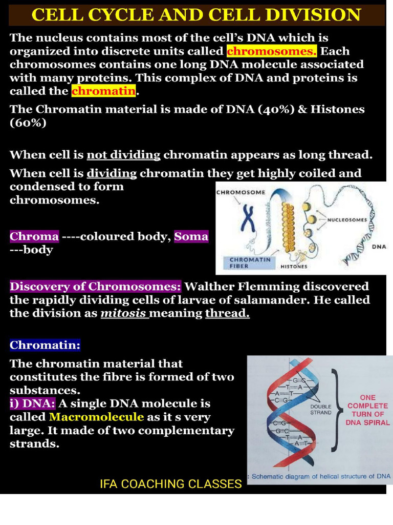 Cell Cycle and Cell Division | PDF