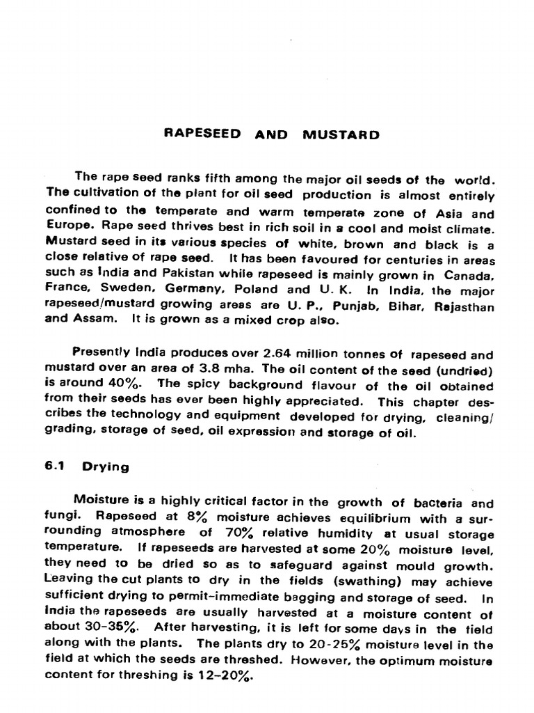 Mustard Oilseed Processing | PDF | Rapeseed | Vegetable Oil