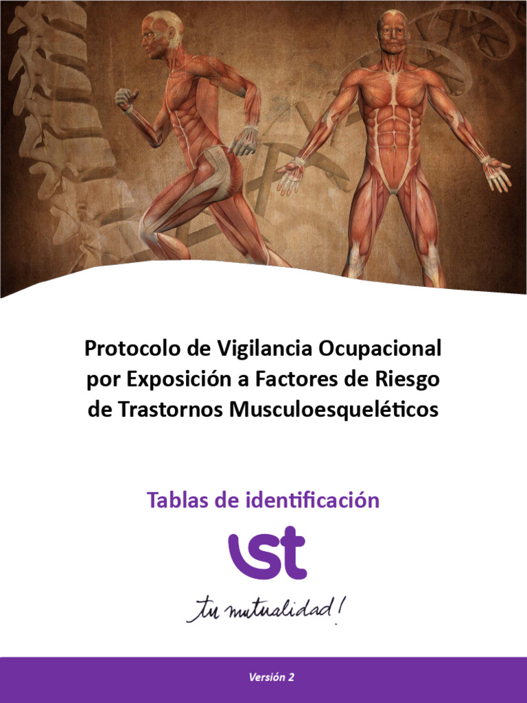 Tablas Identificaci+ N Inicial y Avanzada - V2 | PDF | Codo | Rodilla