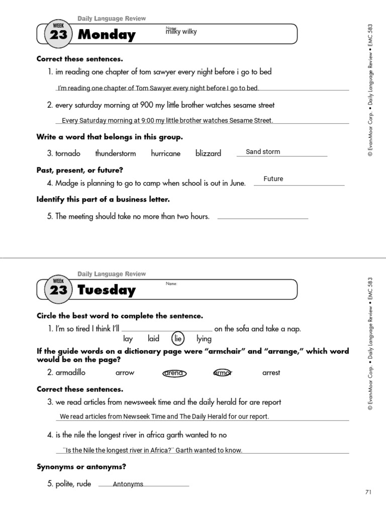 Daily Language Review Activities Guide | PDF | Linguistics | Grammar
