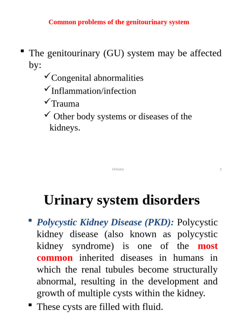 The Genitourinary (GU) System May Be Affected by | PDF | Diseases And ...