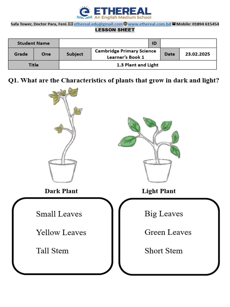 Plant Characteristics: Light vs. Dark | PDF