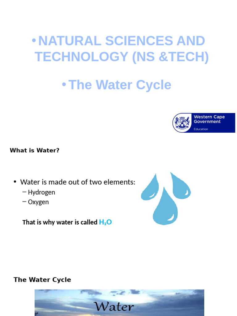 The Water Cycle - Grade 4 | PDF | Water Cycle | Water