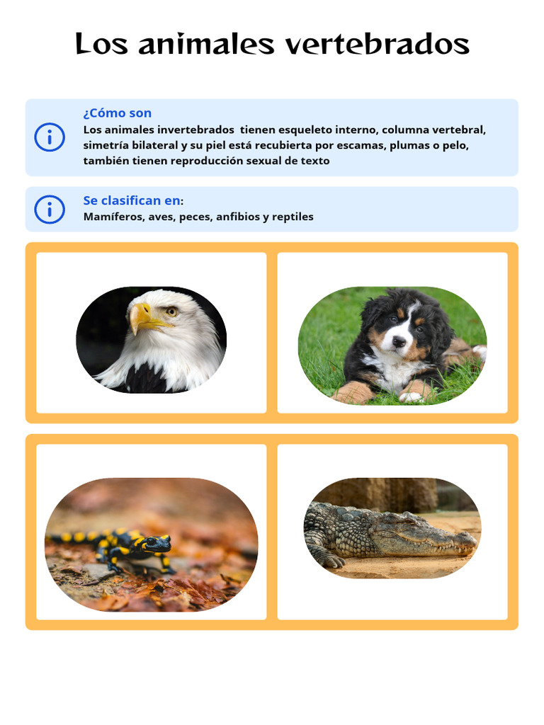 Los Animales Vertebrados | PDF | Vertebrados | Reptil