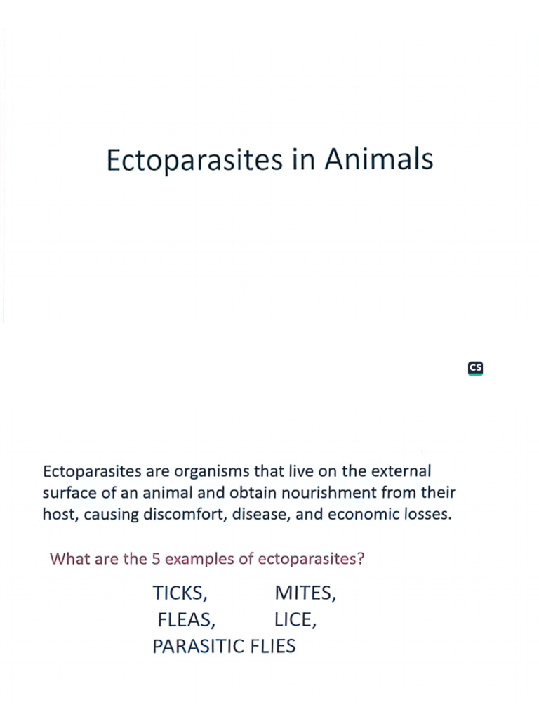 Ectoparasite 04-11-2025 | PDF
