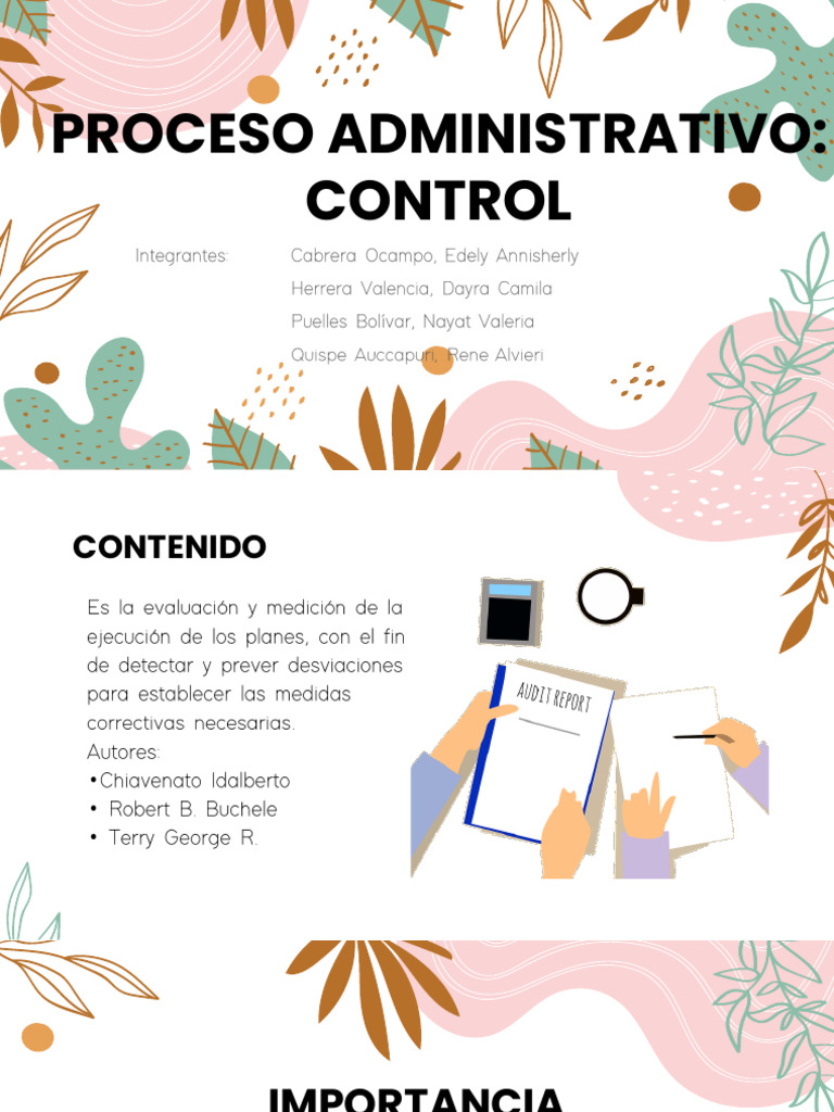 Control de Una Empresa OAE | PDF | Auditoría | Business