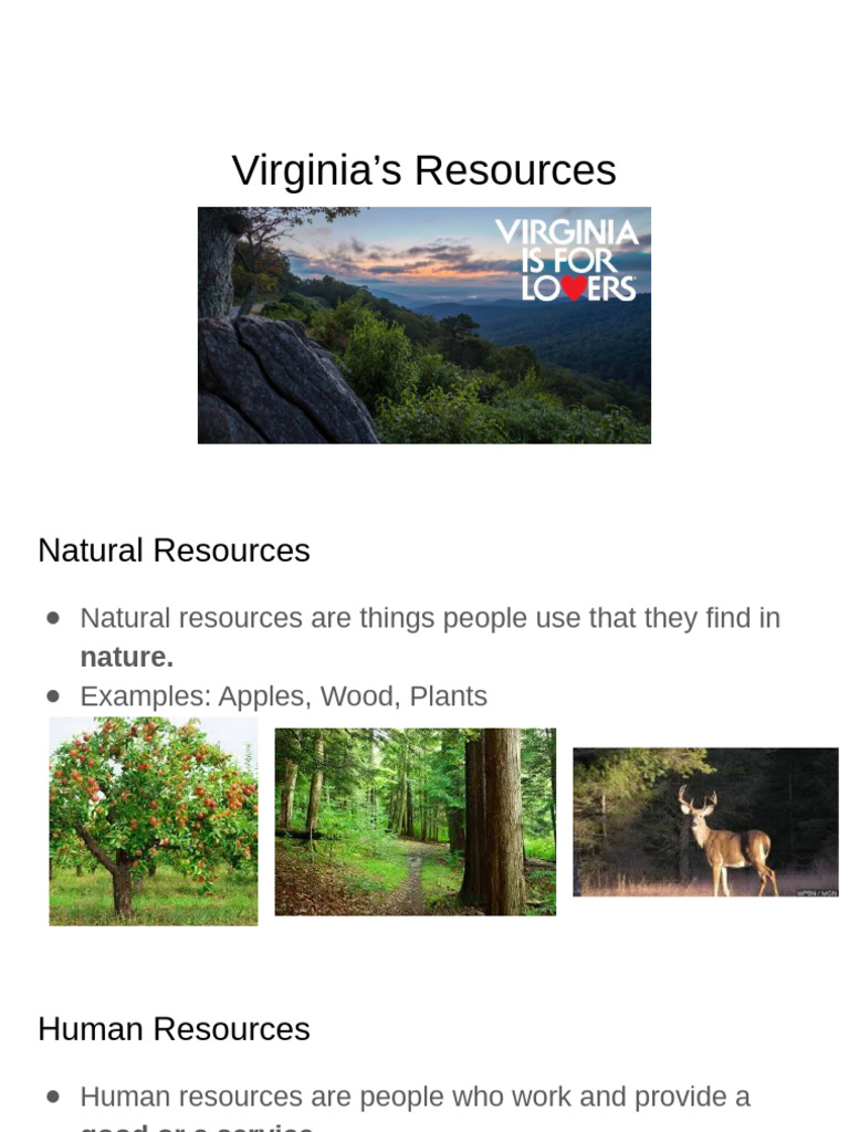 4.8 Virginia's Resources Powerpoint Notes | PDF
