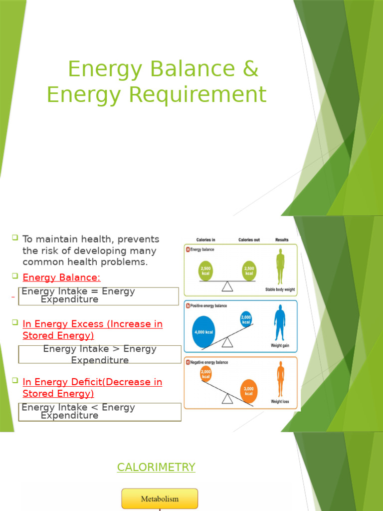Basal Metabolic Rate | PDF | Energy Homeostasis | Nutrition