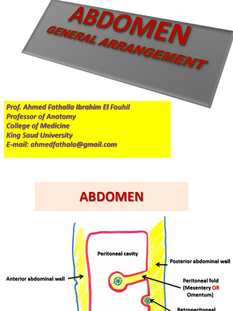 Abdomen-General Arrangement-Prof Ahmed Fathalla | PDF | Abdomen ...