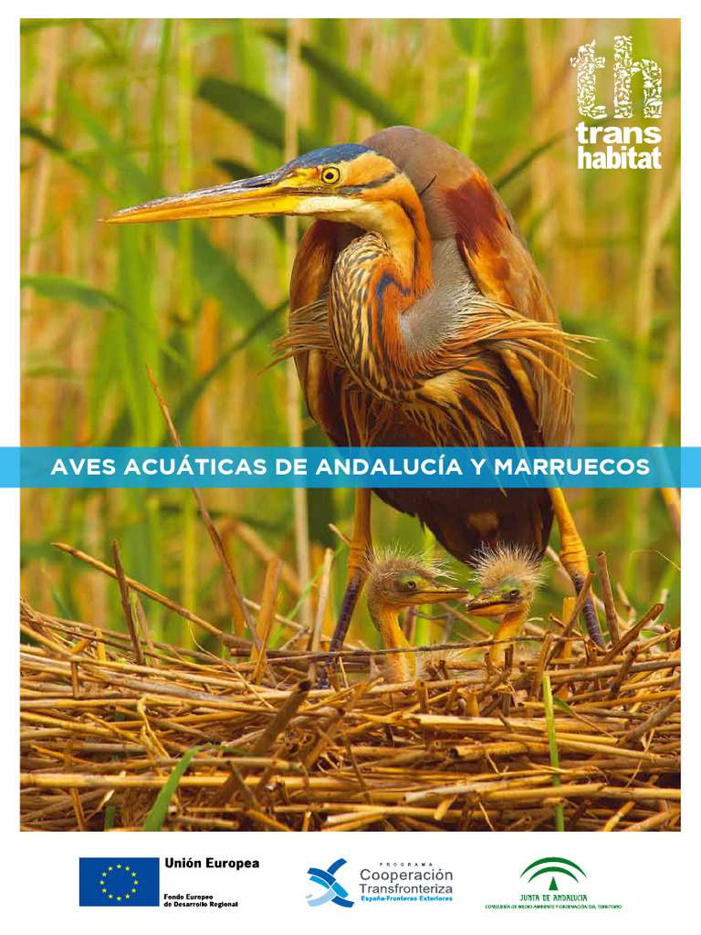 Aves_acuaticas | PDF | Humedal | Aves