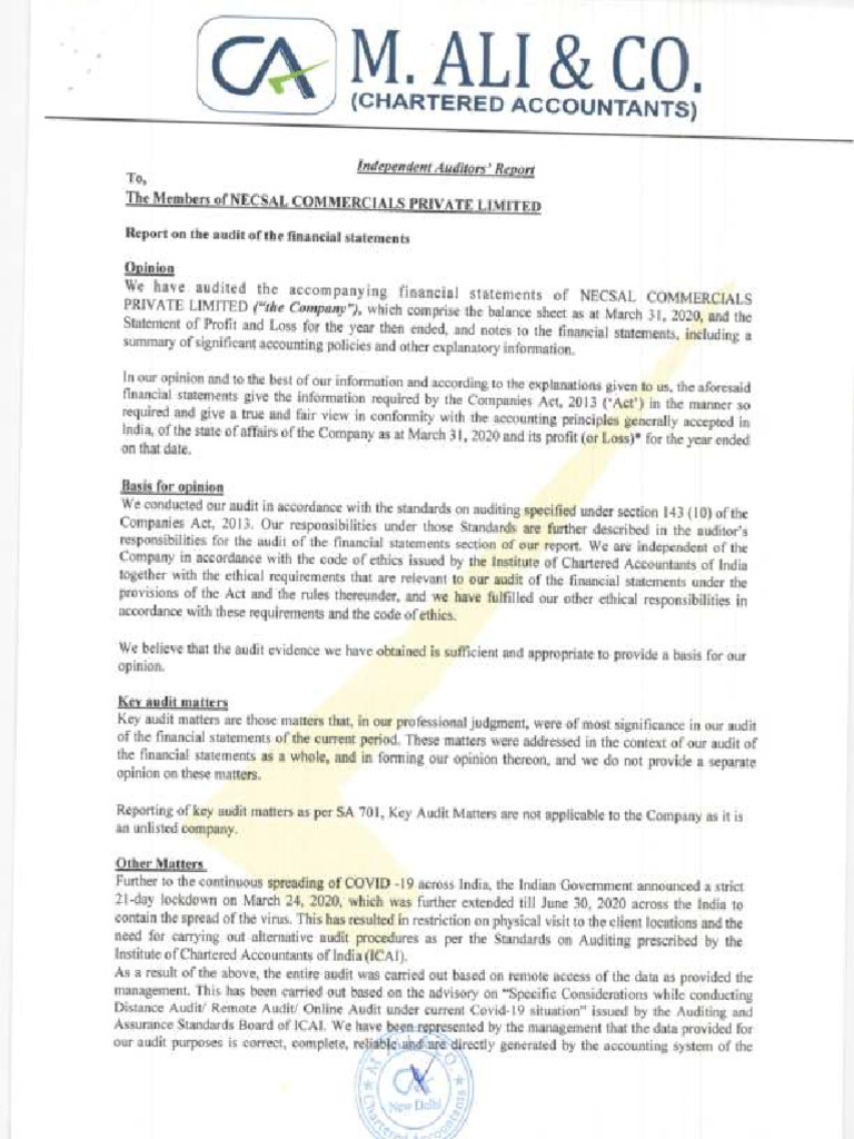 Balance Sheet F.Y 2019-2020 | PDF | Audit | Going Concern