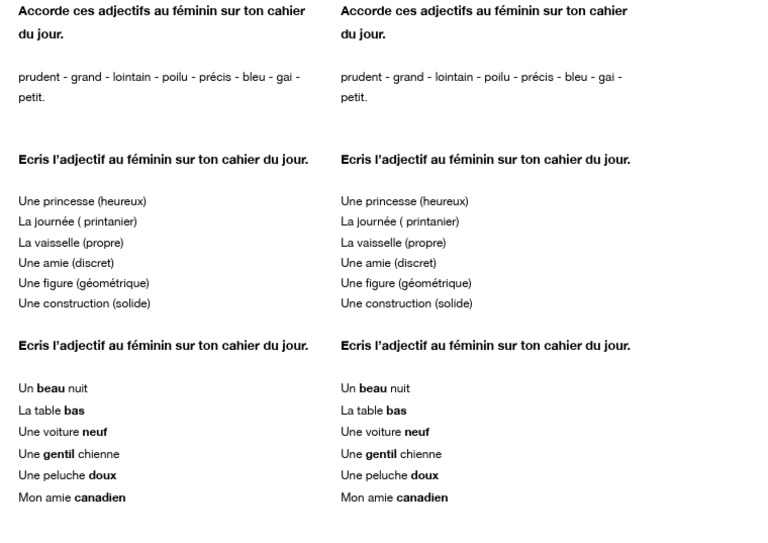 Feminin Des Adjectifs 1 | PDF