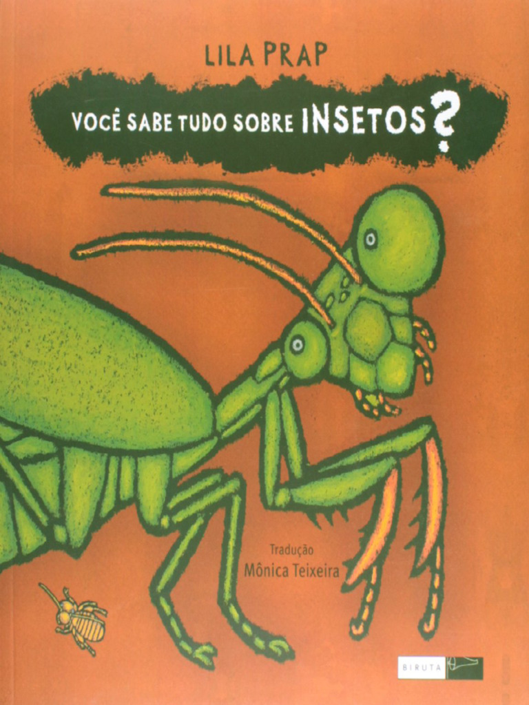 Resumo Voce Sabe Tudo Sobre Insetos Lila Prap | PDF
