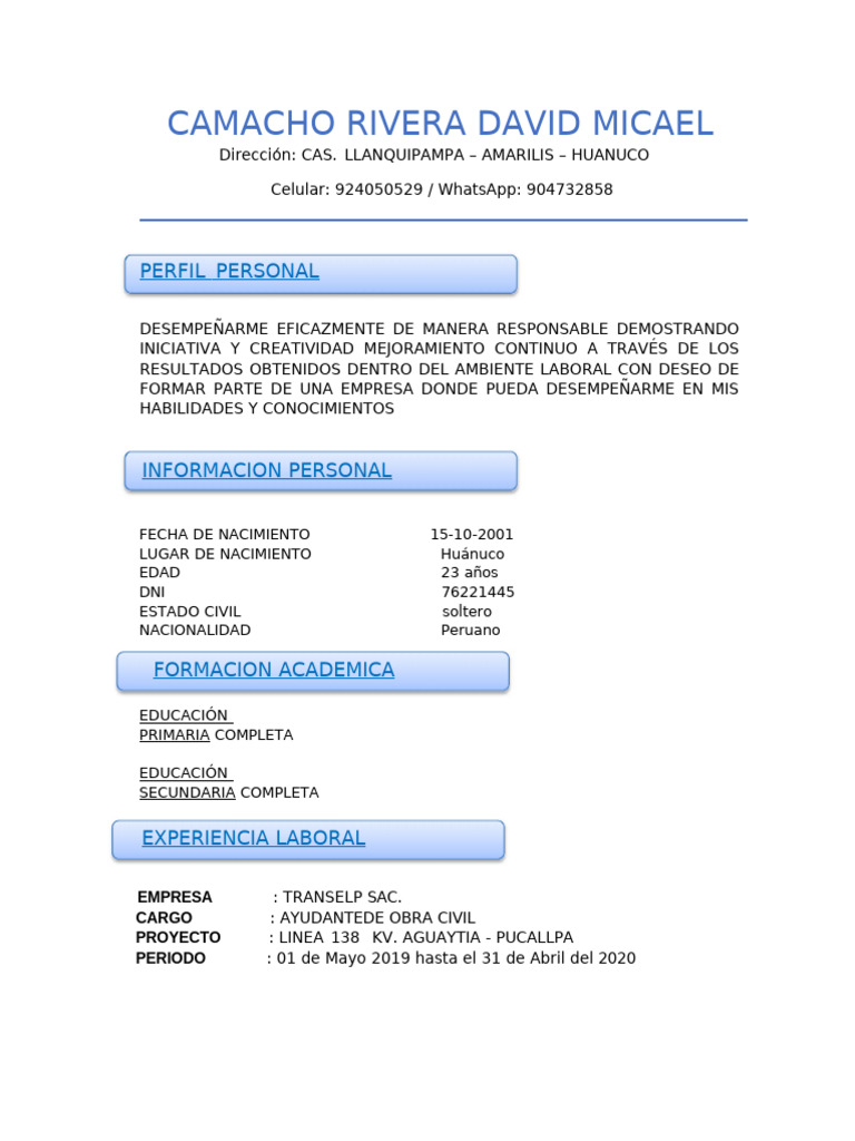Cv-David Camacho Documentado Original | PDF