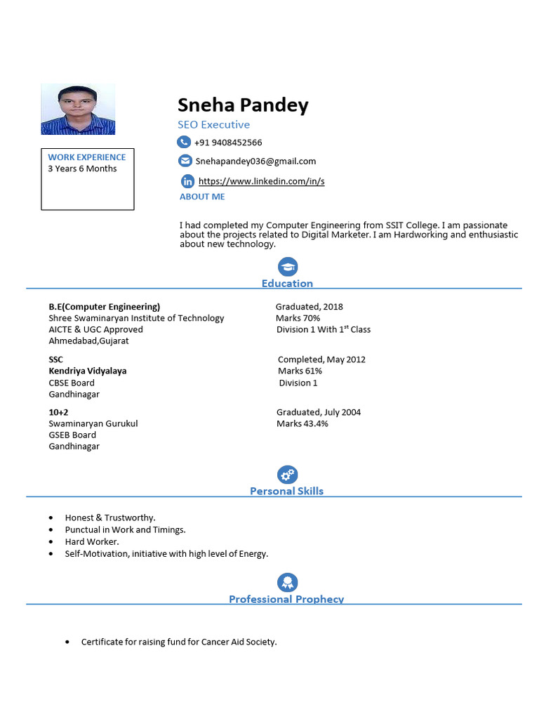 Sneha Pandey SEO Executive | PDF | World Wide Web | Internet & Web