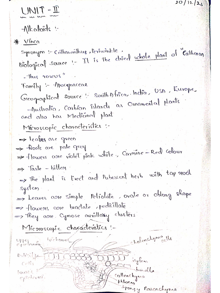 2 Unit Pharmacognosy Notes | PDF