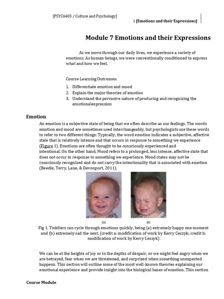 7.emotions and Their Expressions | PDF | Emotions | Facial Expression