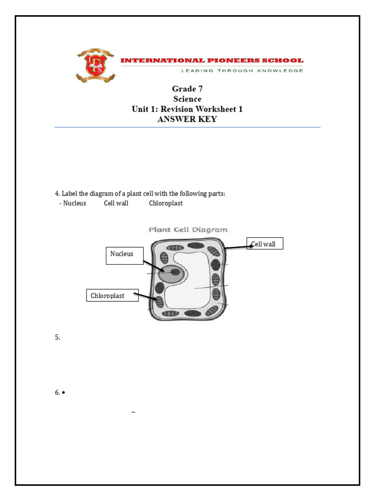 Unit 1 Revision Worksheet AK | PDF