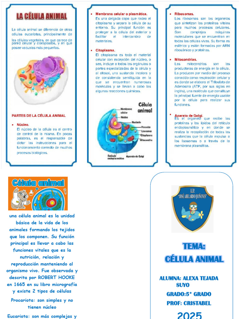 triptico alexa | PDF