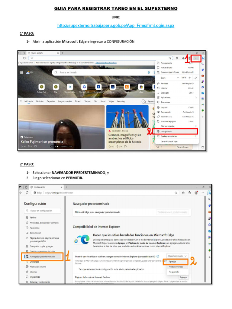Guia para Ingresar Al Sup-Externo y Tareo Diario Okk | PDF