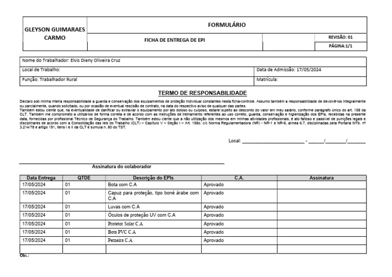 Ficha de EPI - ELVIS DIENY | PDF