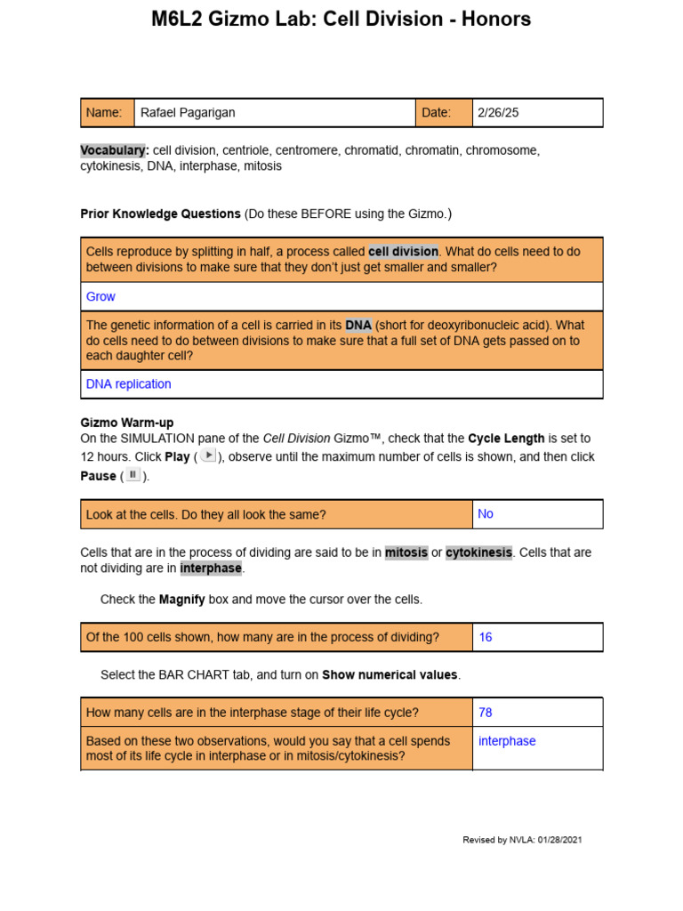 M6L2 Cell Division Gizmo Lab - Honors | PDF | Mitosis | Chromosome
