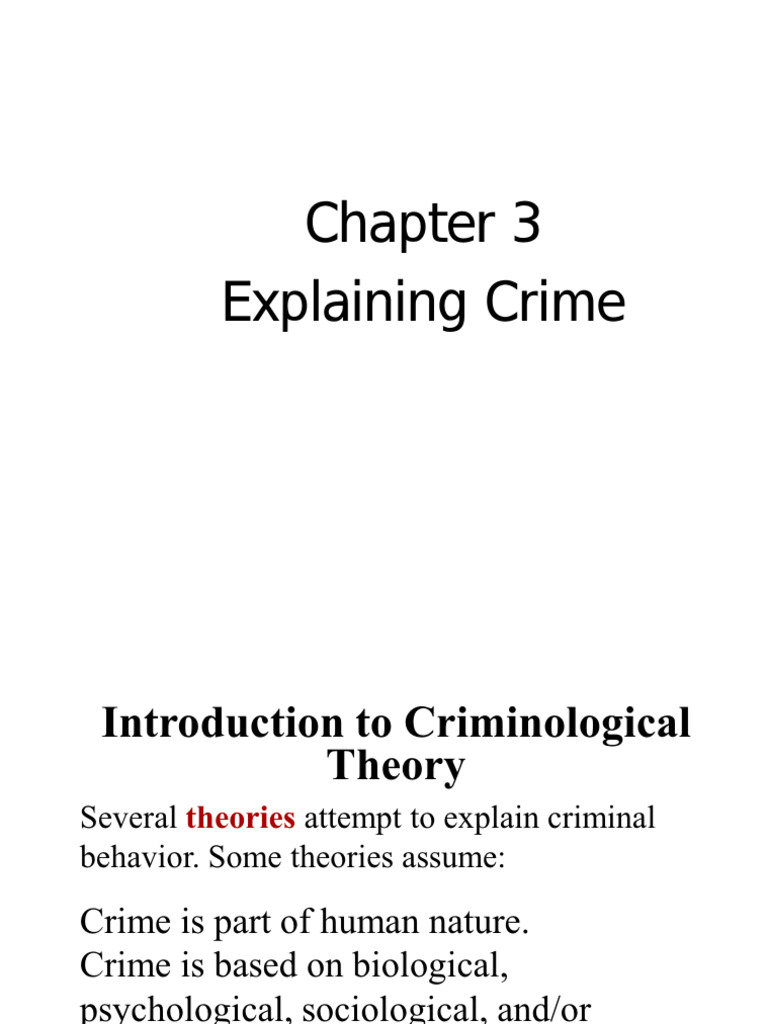 Introduction To Criminological Theory | PDF