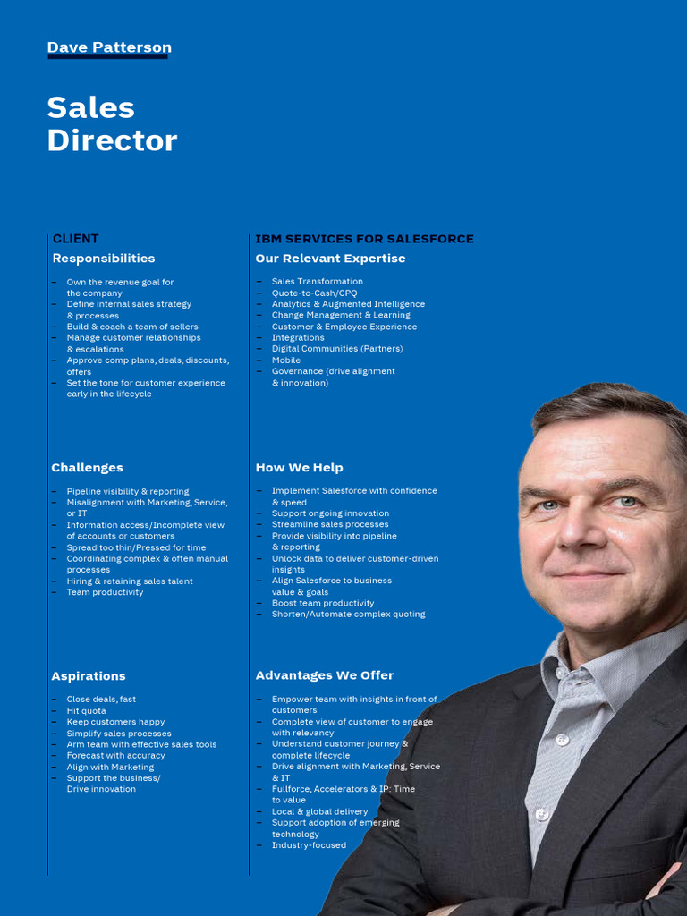 Buyer Persona Sales Director | PDF | Sales | Innovation