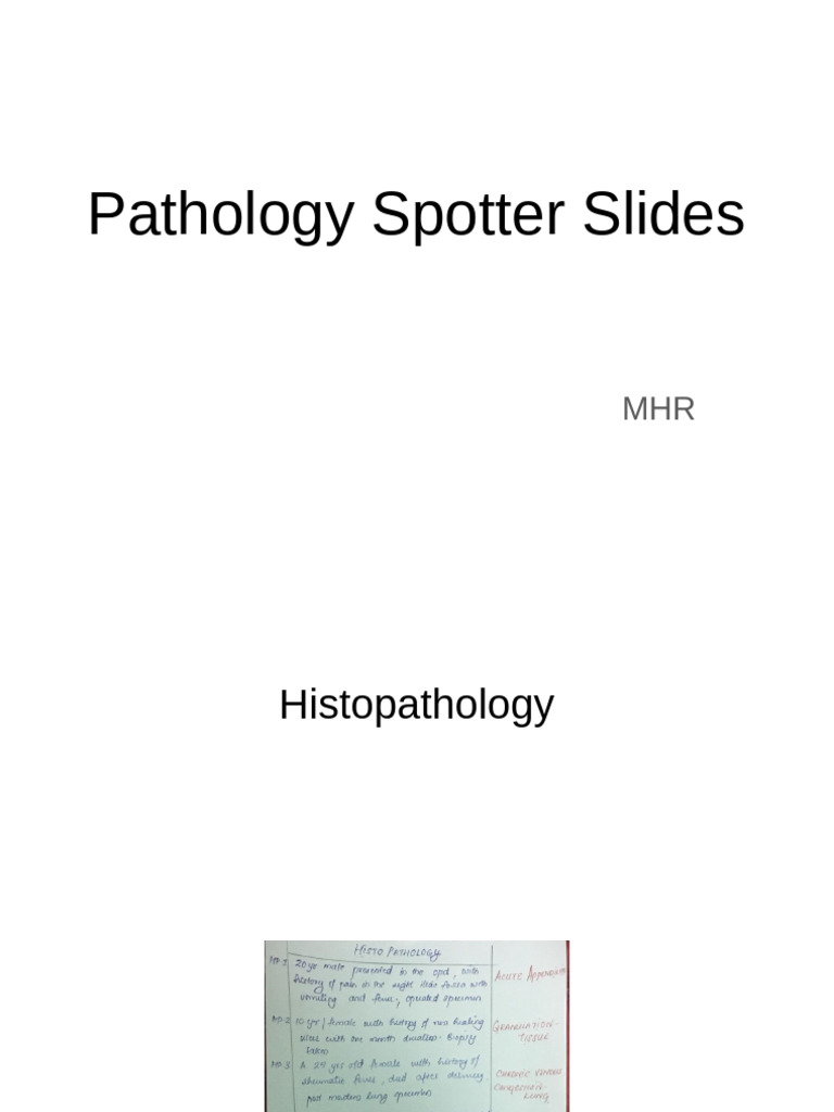 Histopathology Spotters | PDF | White Blood Cell | Epithelium