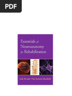 MR Barton Math Book @math - Wiut | PDF | Numbers | Mathematical Objects