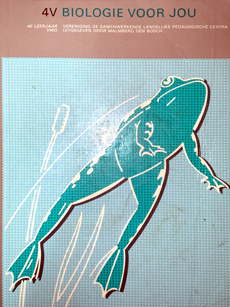 Theorieboek BVJ V4 | PDF