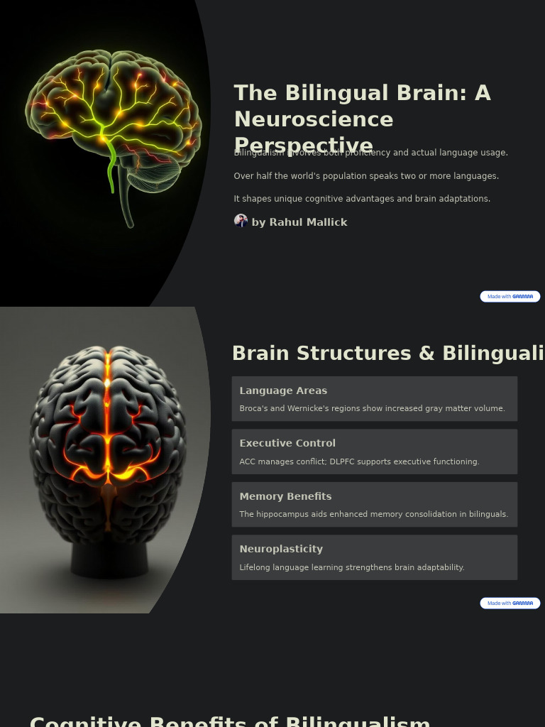 The Bilingual Brain A Neuroscience Perspective | PDF